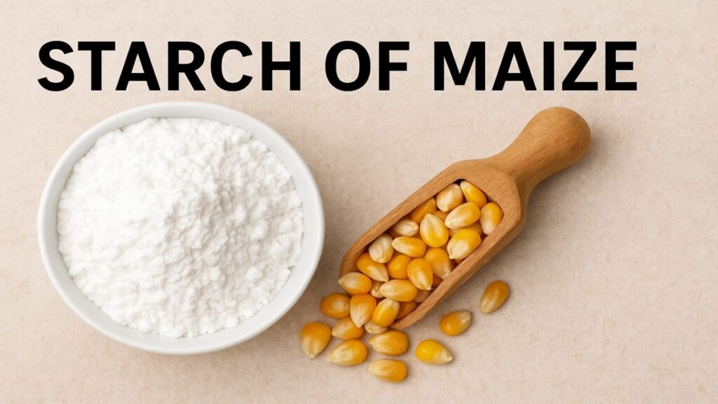 Starch of Maize: A Versatile Ingredient Powering Industries and ...