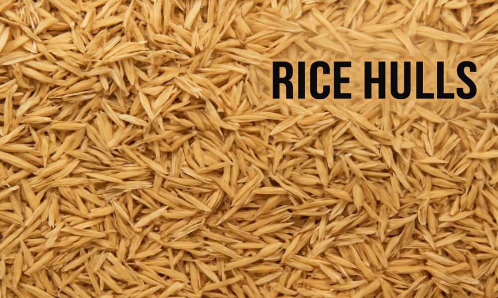 Rice Hulls: Uses, Benefits, and Everything You Need to Know - Gessolini