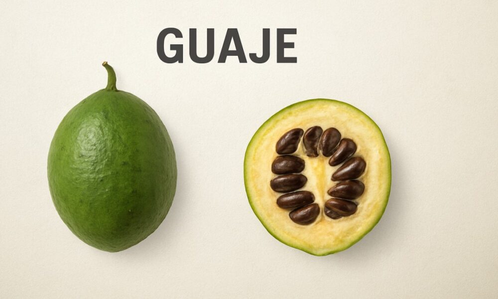 Guaje: The Hidden Gem of Nutrition and Traditional Cuisine - Gessolini